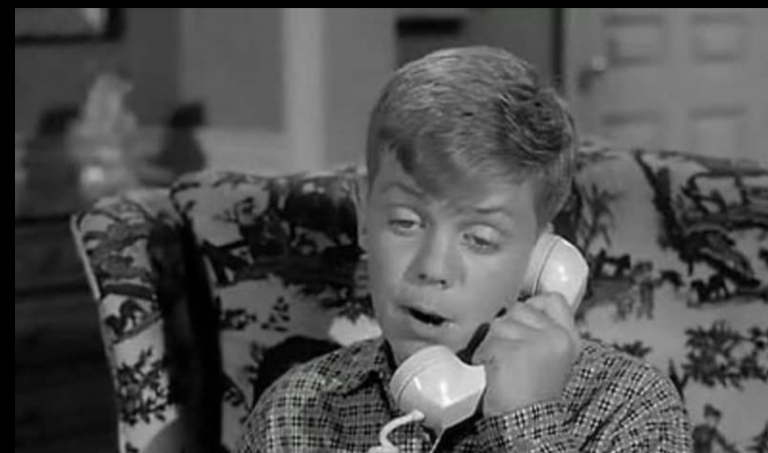 A Chat with ‘Leave It to Beaver’s Stephen Talbot: ‘I May Be a Dirty Rat ...