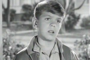 Whatever Happened to Stephen Talbot, 'Leave It to Beaver''s Gilbert? We ...