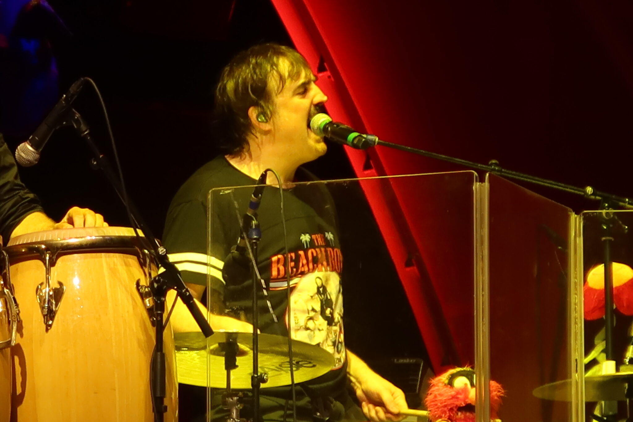 The Beach Boys Live in 2024: Still Plenty of Fun, Fun, Fun | Best ...