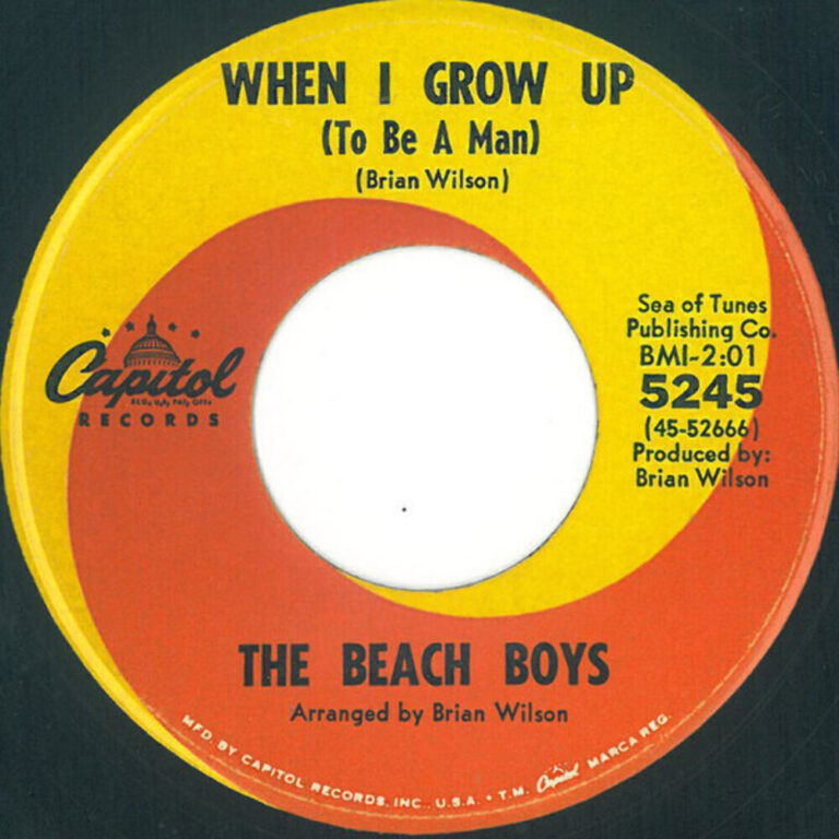 To Be Brian Wilson (ooh, still dig those sounds): A Tribute | Best ...